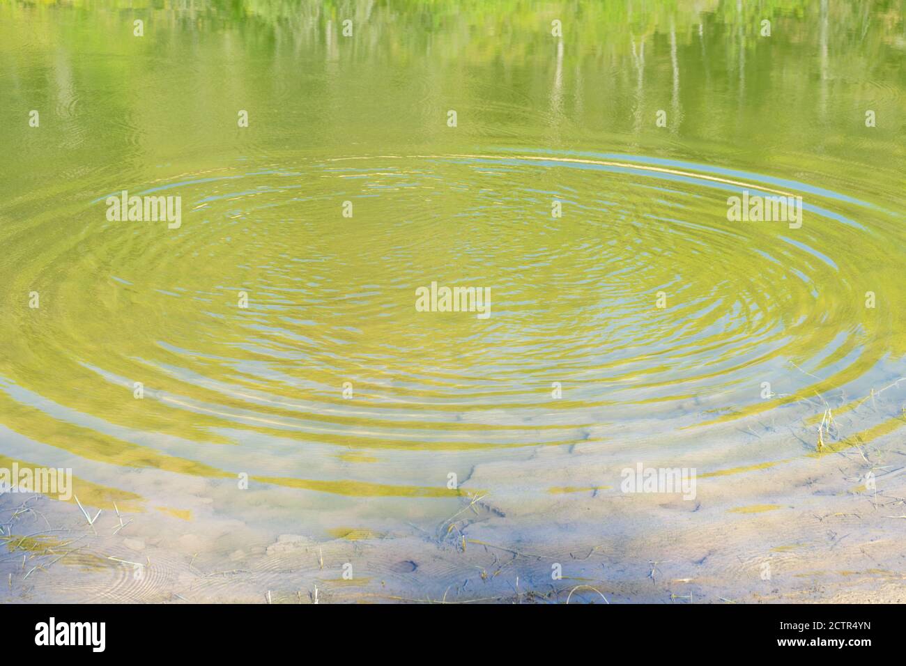 Expansion waves in the water caused by throwing a stone. Motion concept ...