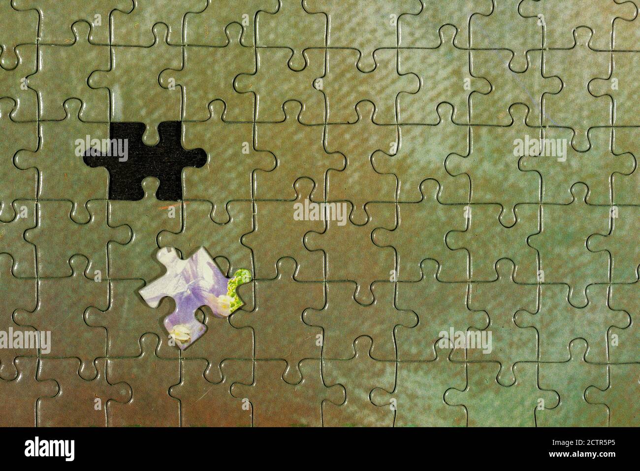 Disassembled puzzle with a last wrong piece impossible to fill Stock ...