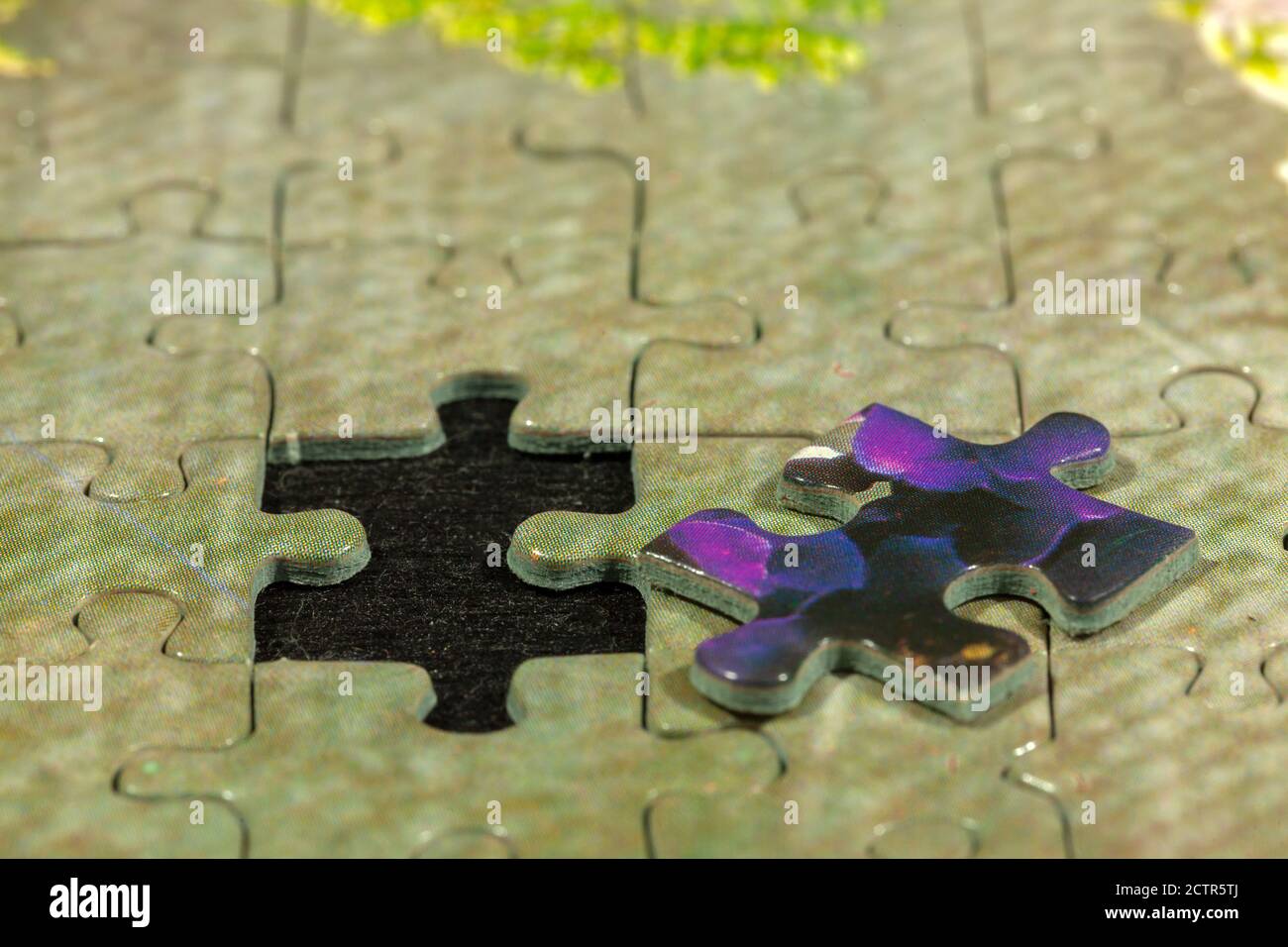 Disassembled puzzle with a last wrong piece impossible to fill Stock ...