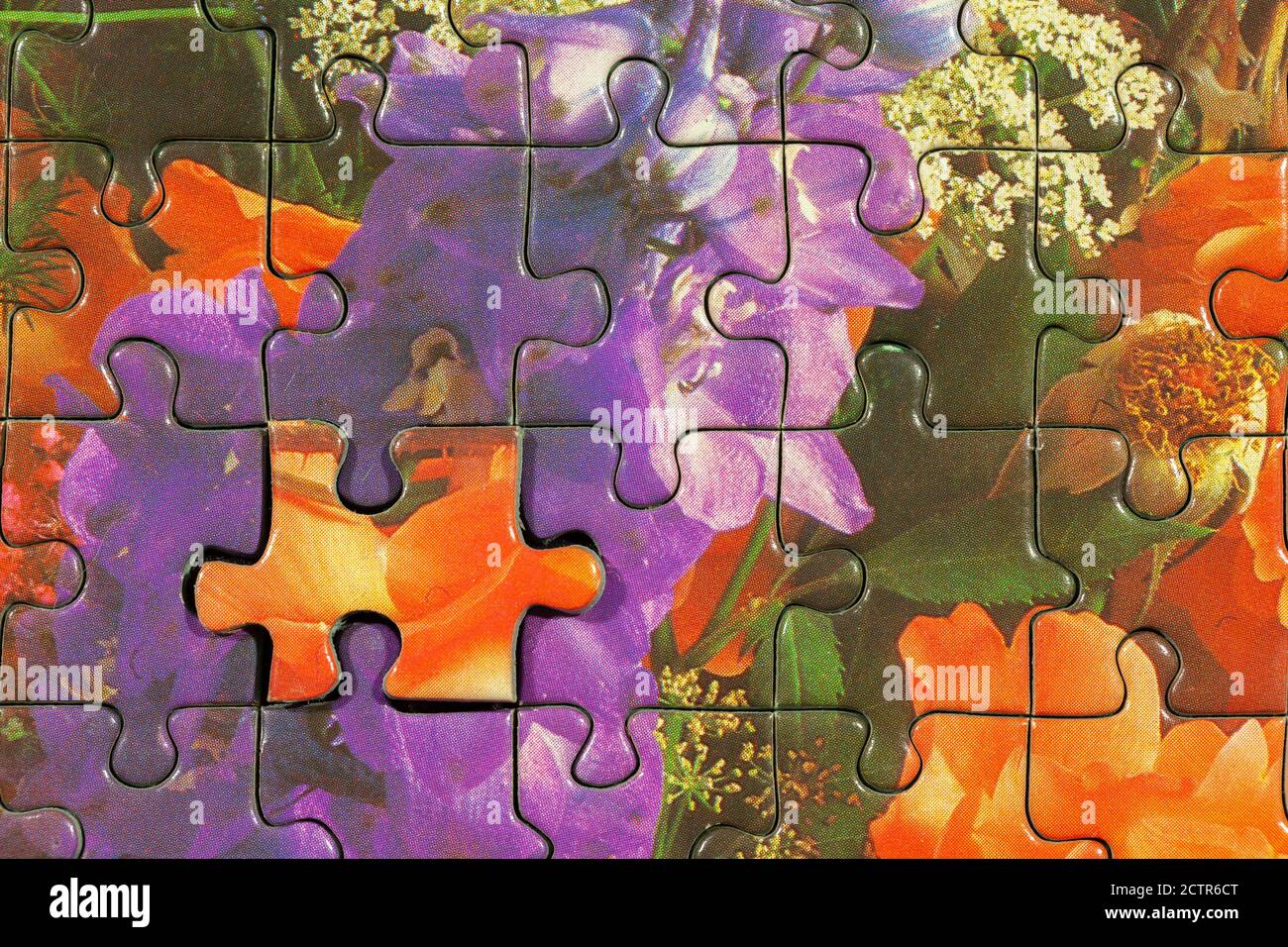 Disassembled puzzle with a last wrong piece impossible to fill Stock ...