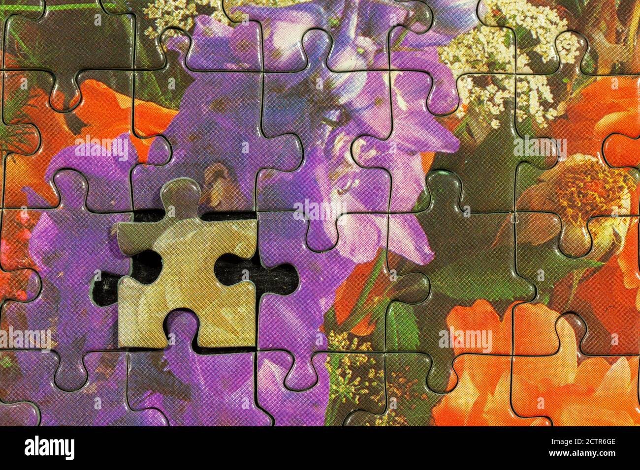 Disassembled puzzle with a last wrong piece impossible to fill Stock ...