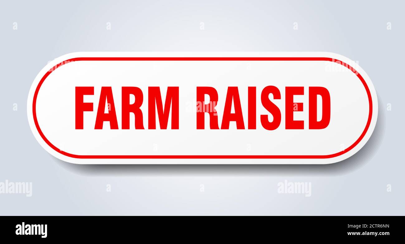 farm raised sign. rounded isolated sticker. white button Stock Vector ...