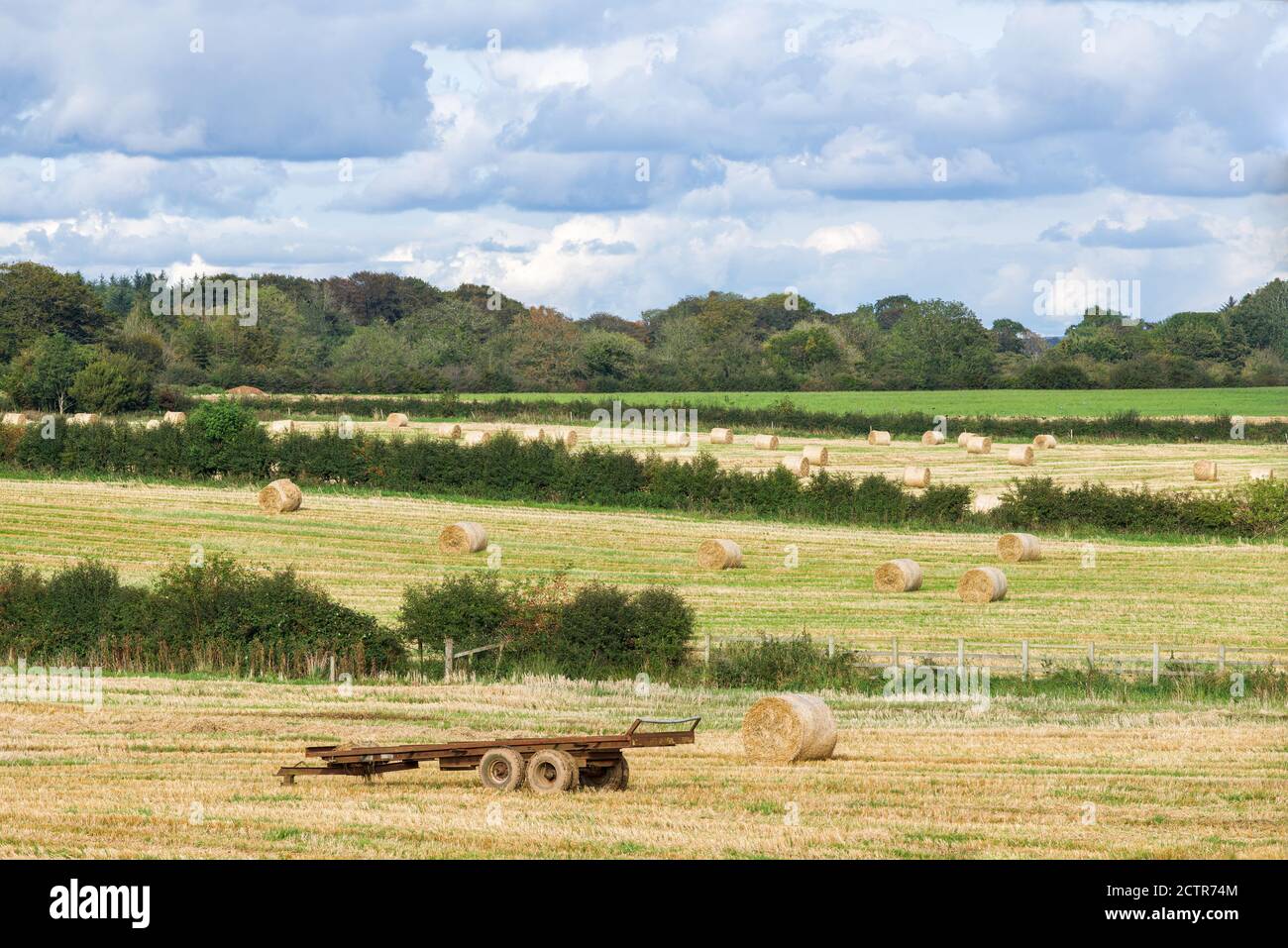 Perceton hi-res stock photography and images - Alamy