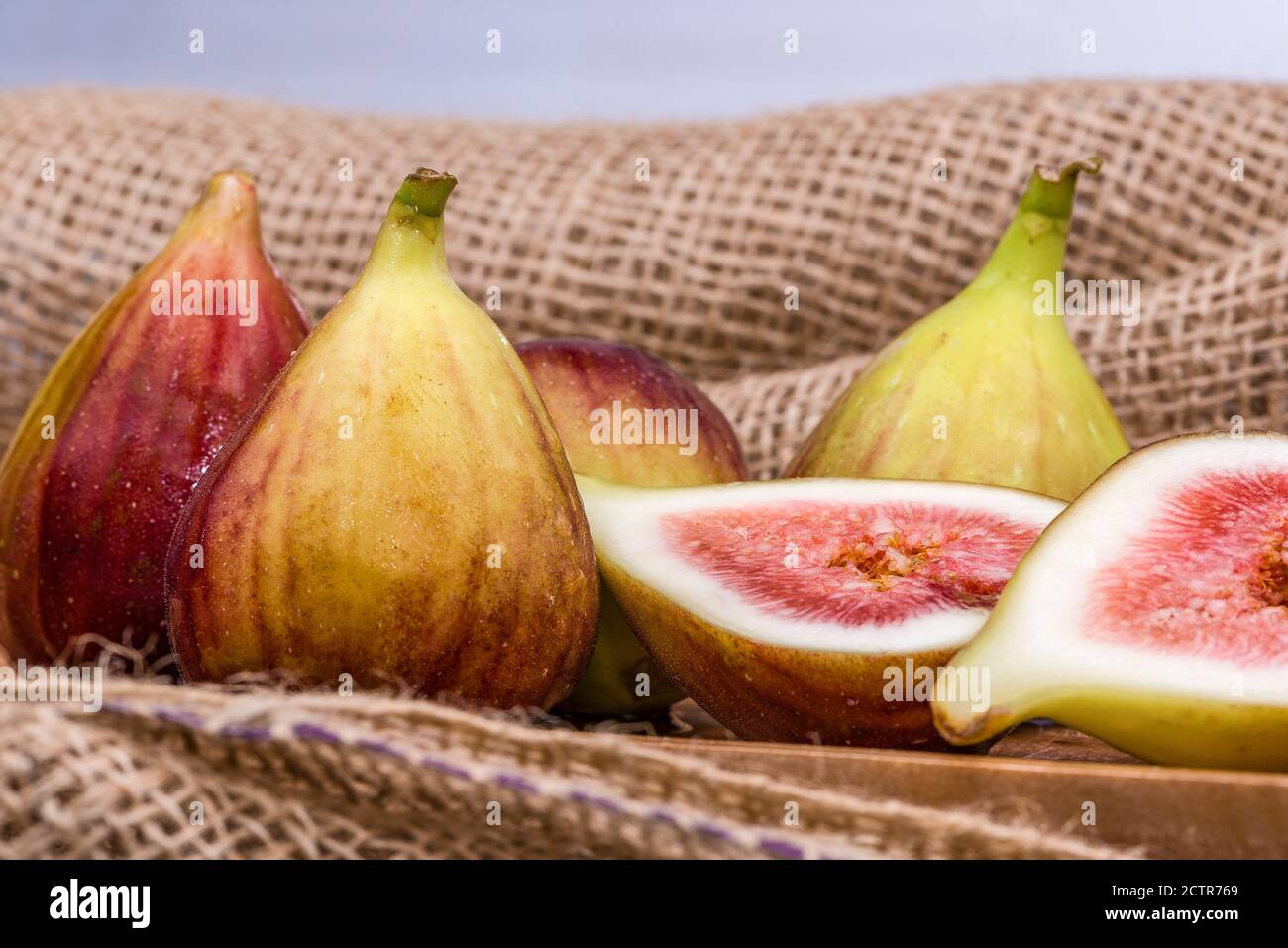 Hors newton hi-res stock photography and images - Alamy