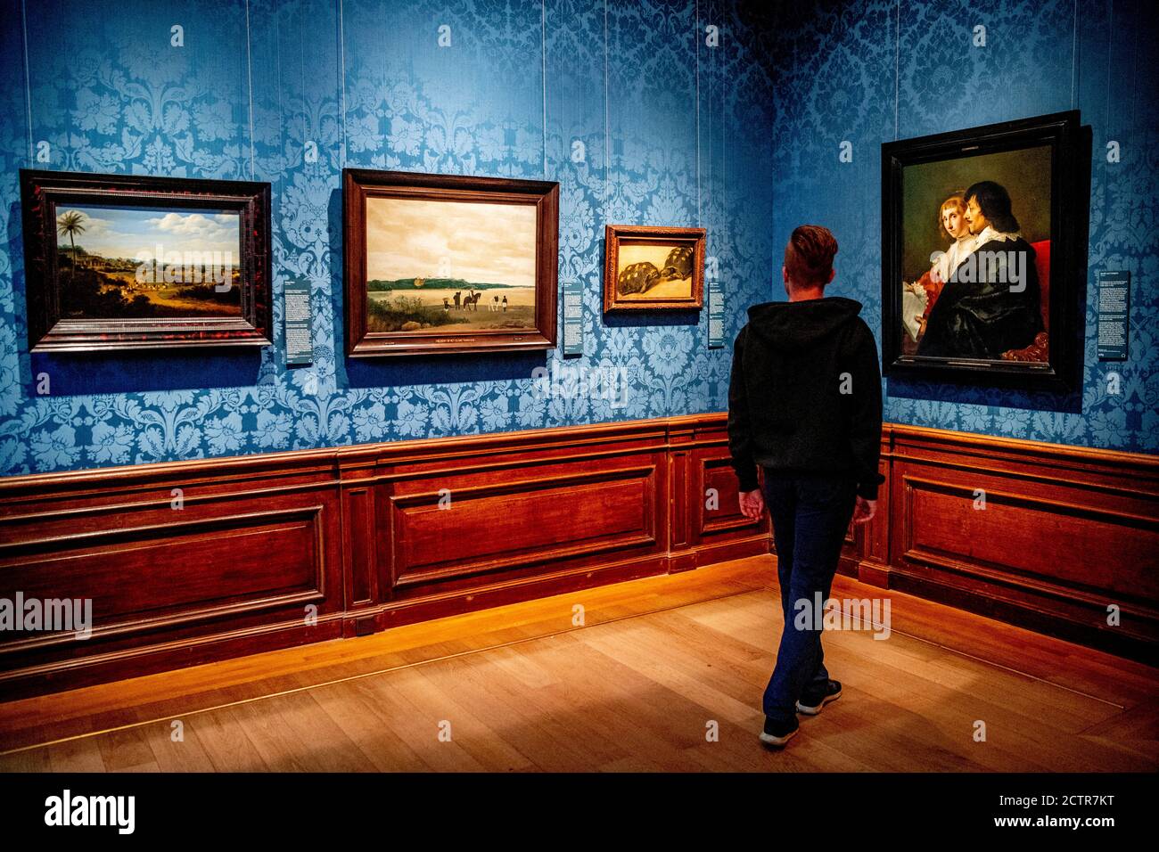 A man looks at the Painting in the new room.The Mauritshuis museum is ...