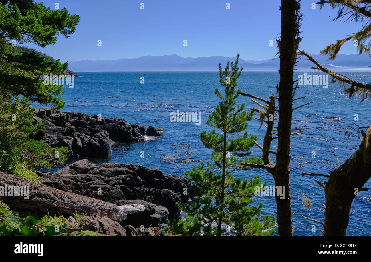 Rugged shoreline in the East Sooke Regional Park along the Coast trail ...