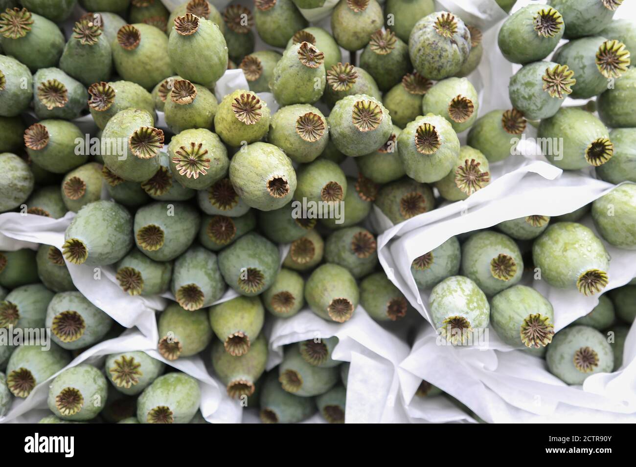 Stacks of Wrapped Bunches of Flower Pods at Market, Copenhagen, Denmark ...