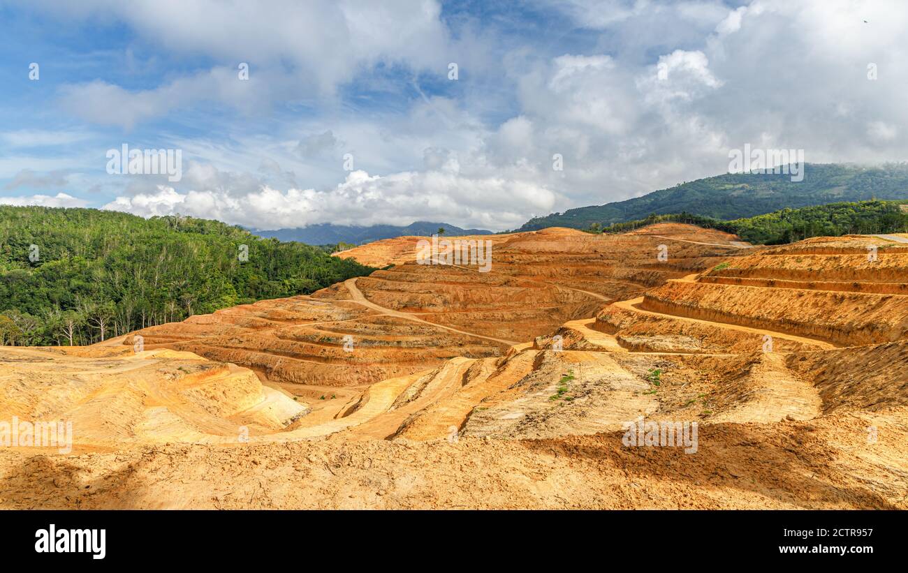 Sigapon, Sabah, Malaysia: Freshly re-shaped terraces of an oil palm ...