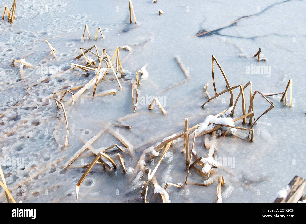 Frozen over puddle Stock Photo - Alamy
