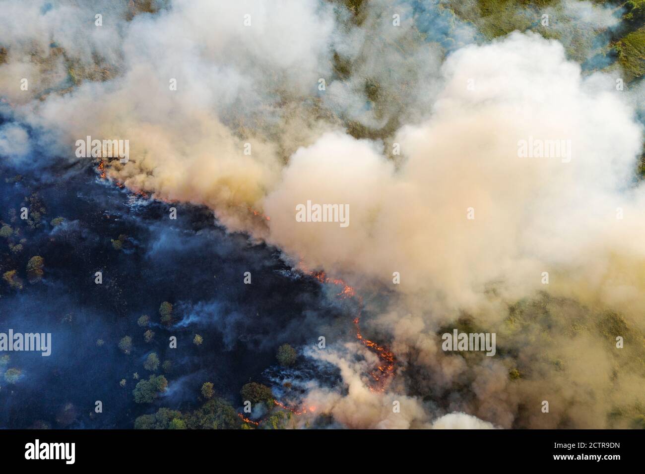 Smoke and flame nature forest fire in after dry season, aerial top view ...