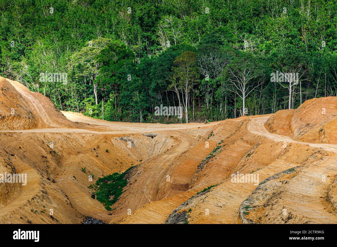 Sigapon, Sabah, Malaysia: Freshly re-shaped terraces of an oil palm ...