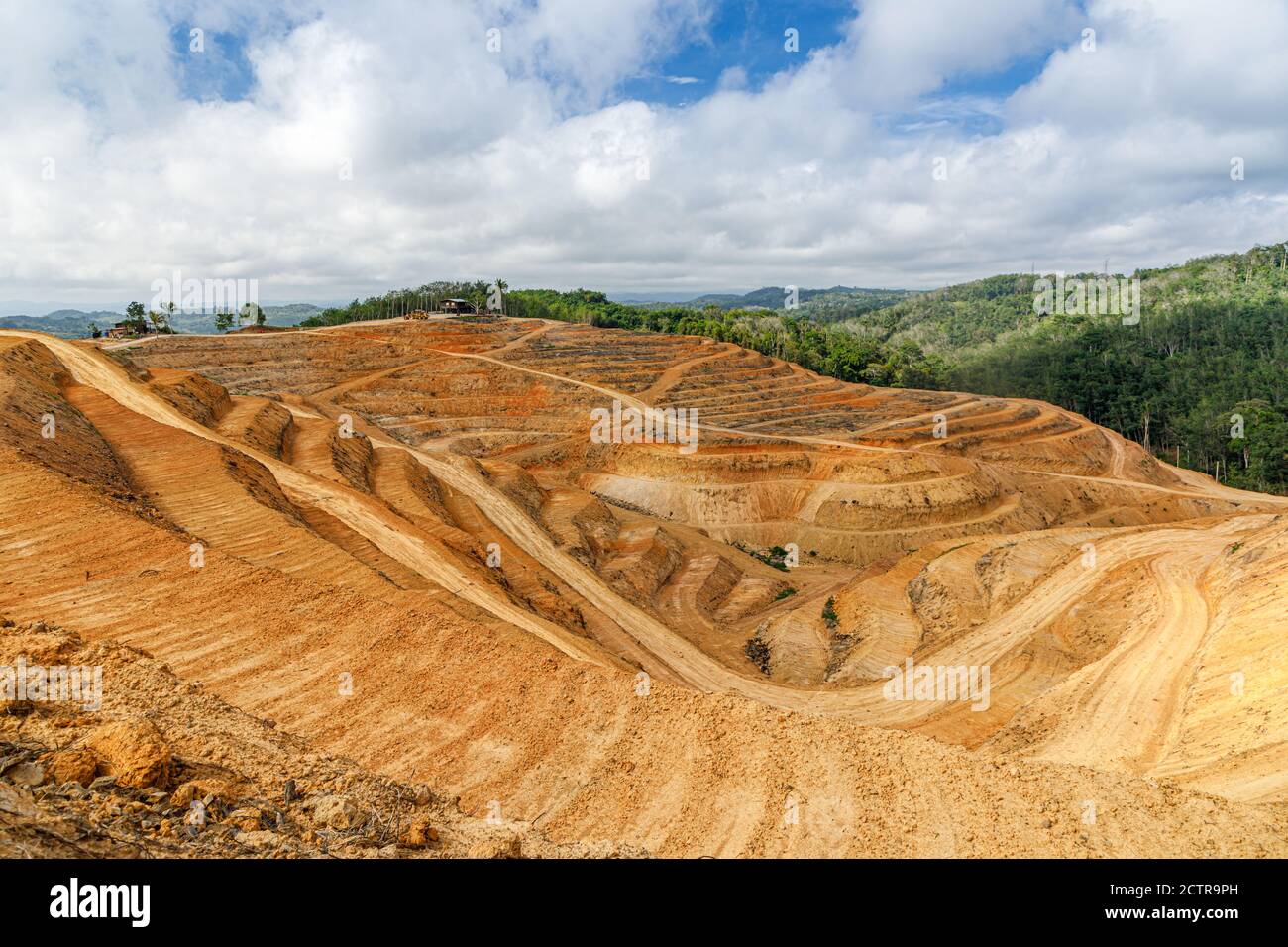 Sigapon, Sabah, Malaysia: Freshly re-shaped terraces of an oil palm ...