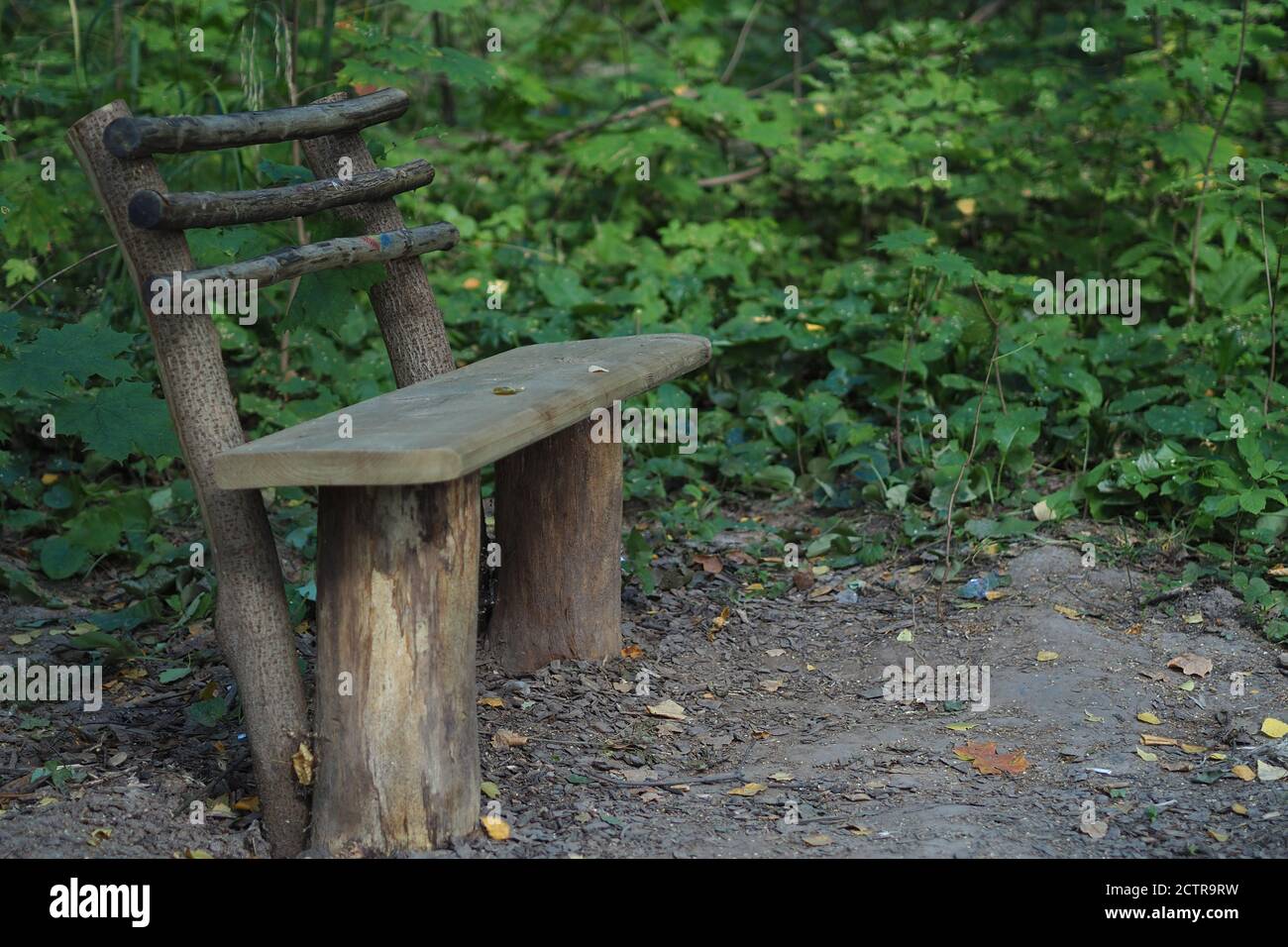 Bench in the woods hi-res stock photography and images - Alamy