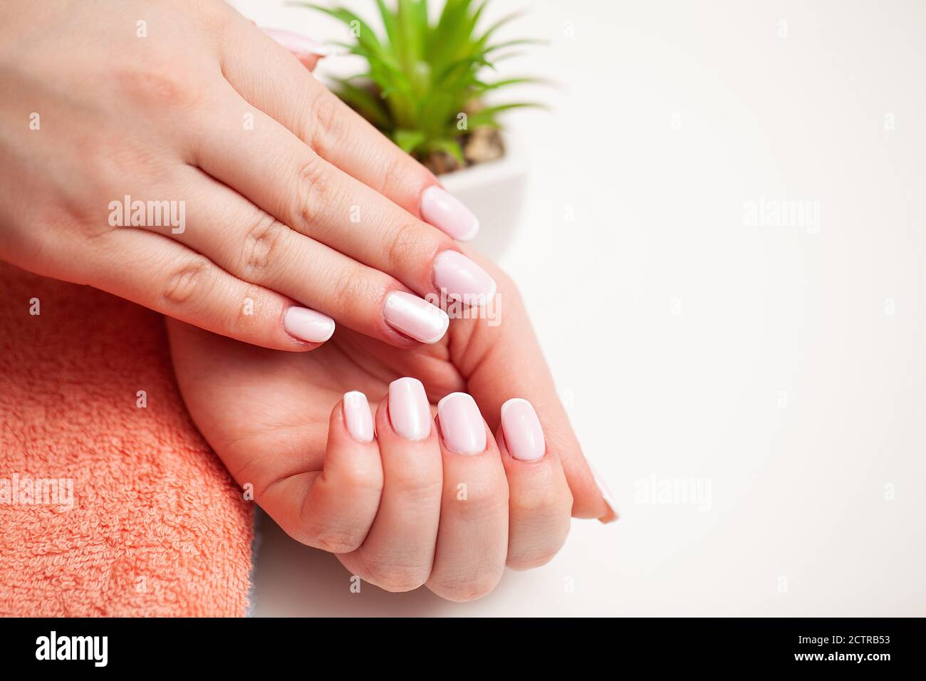 The picture of female hands with perfectly done manicure Stock Photo ...