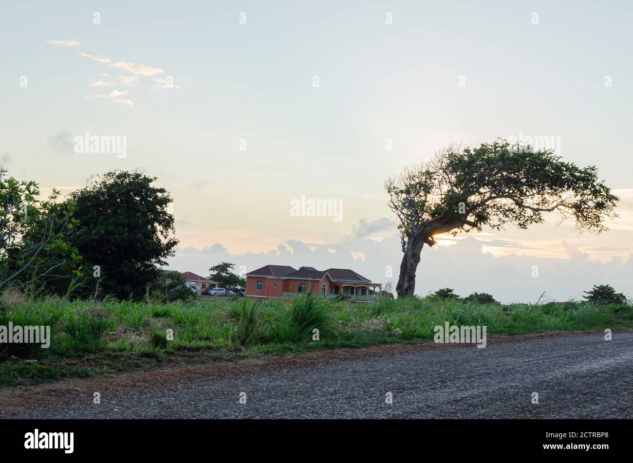 House Between Trees Stock Photo - Alamy