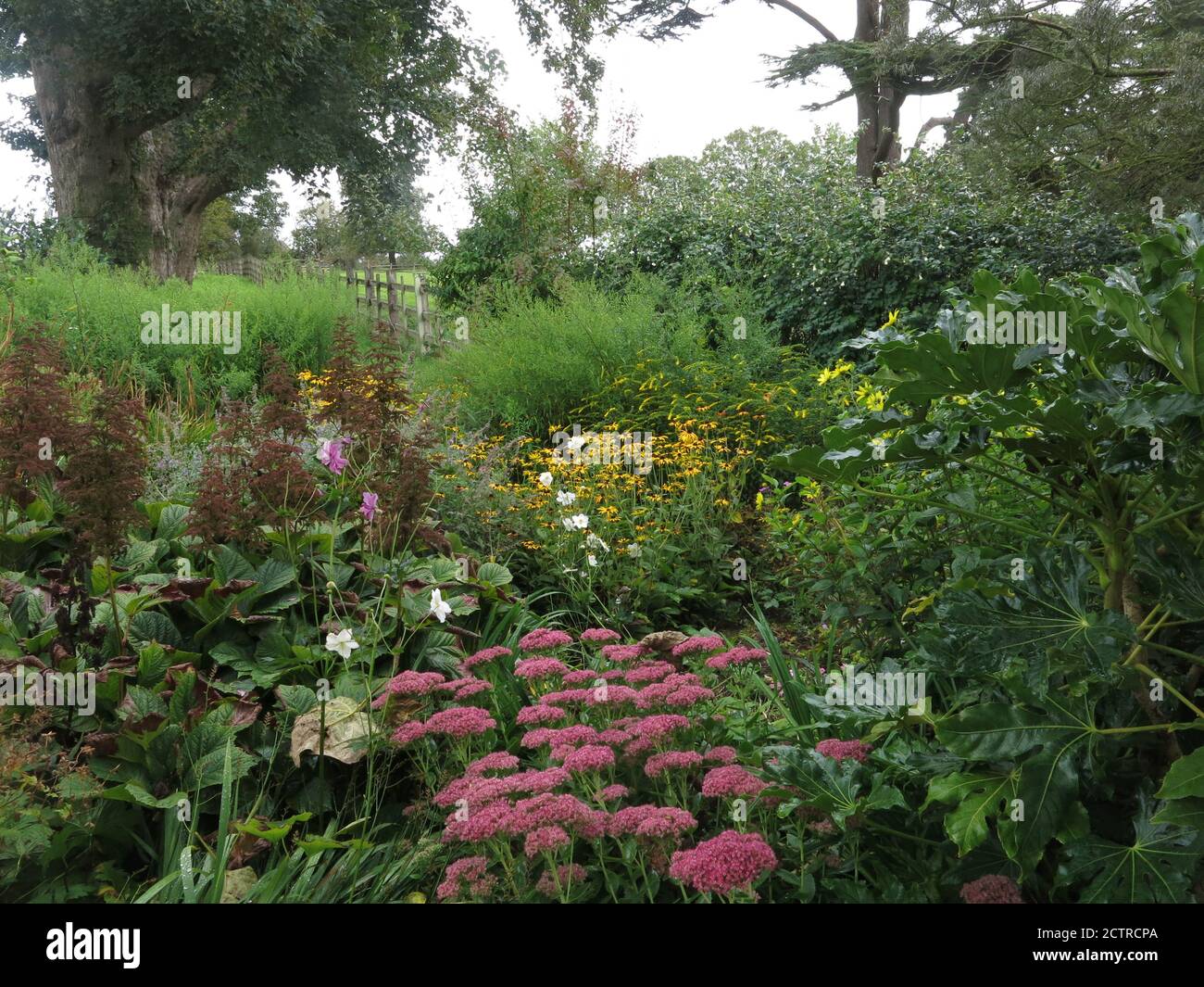 An autumn planting scheme in the grounds of Lamport Hall, former ...