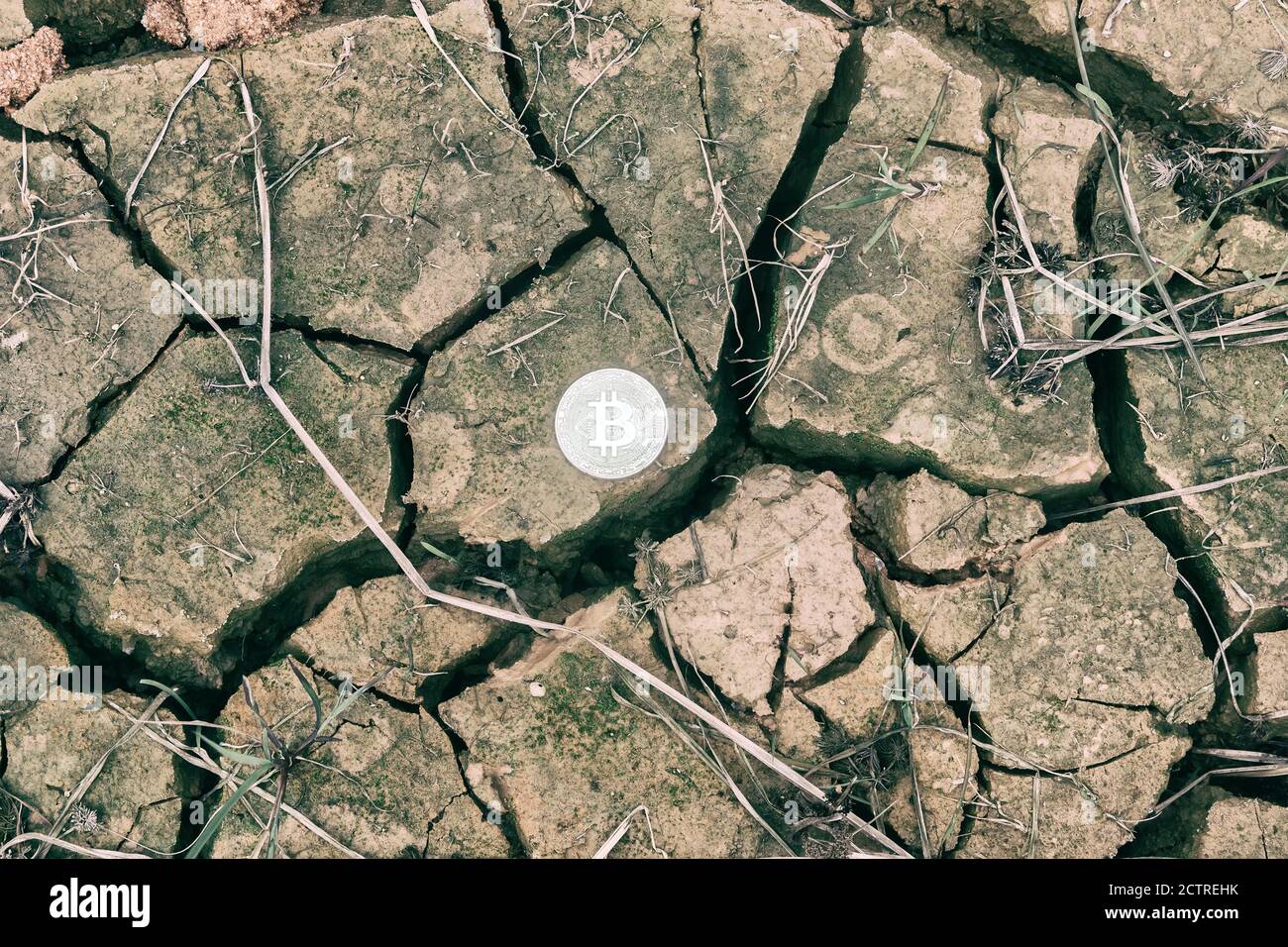 Bitcoin make money from scratch. Poor soil in a drought and harsh ...