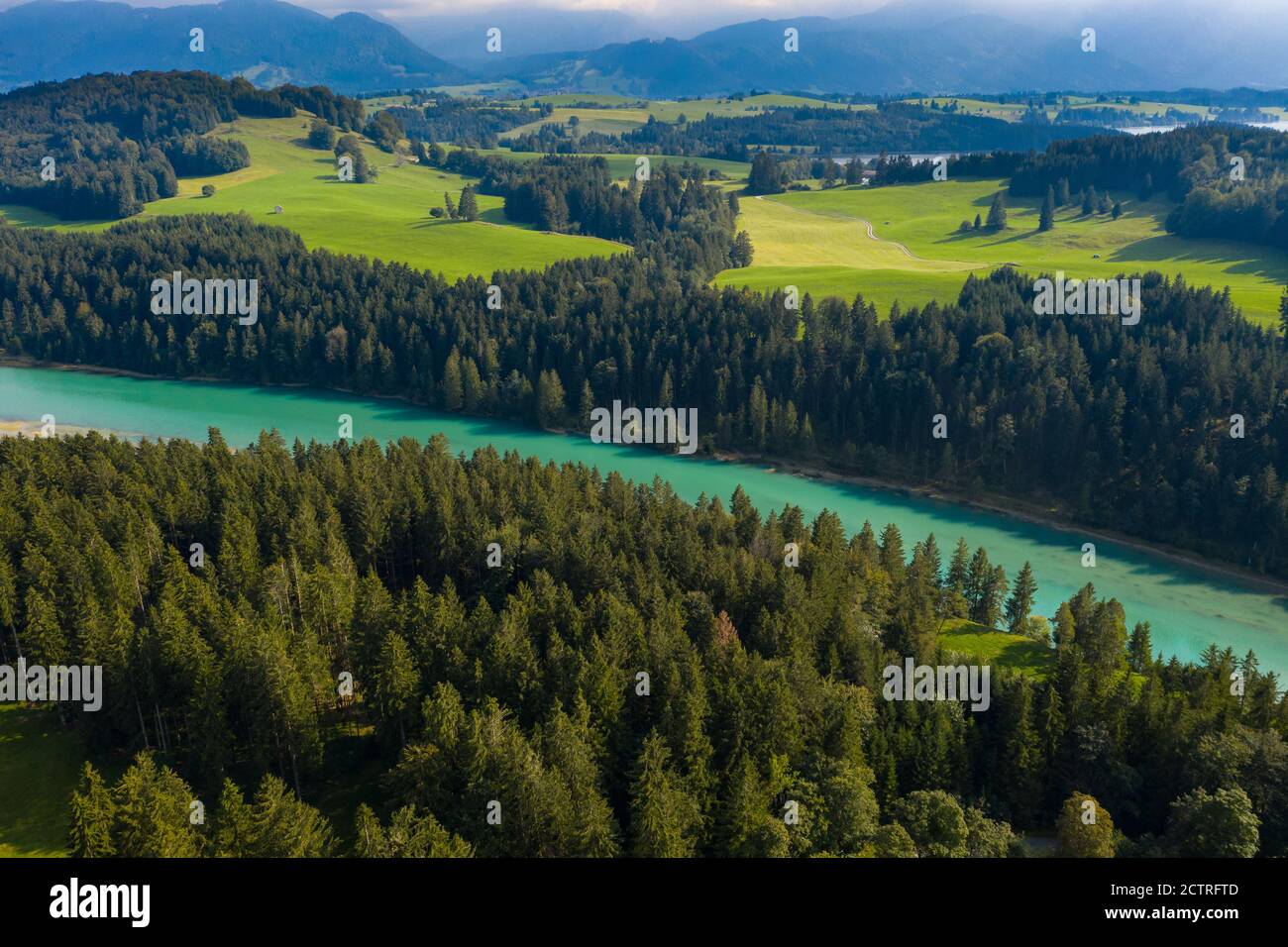 Meadow riverside forest hi-res stock photography and images - Alamy