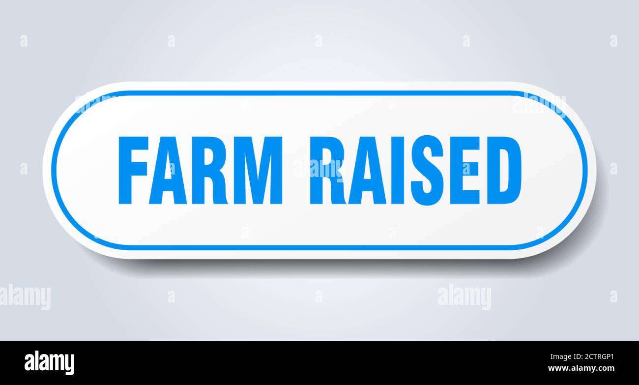 farm raised sign. rounded isolated sticker. white button Stock Vector ...