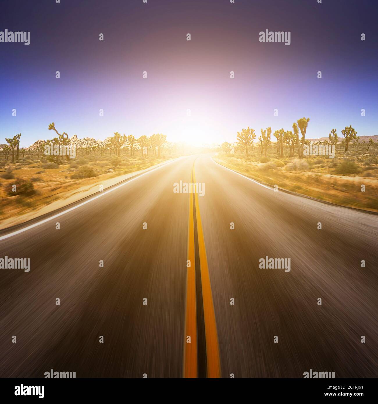 Open asphalt road in the USA national park. Straight asphalt Highway ...