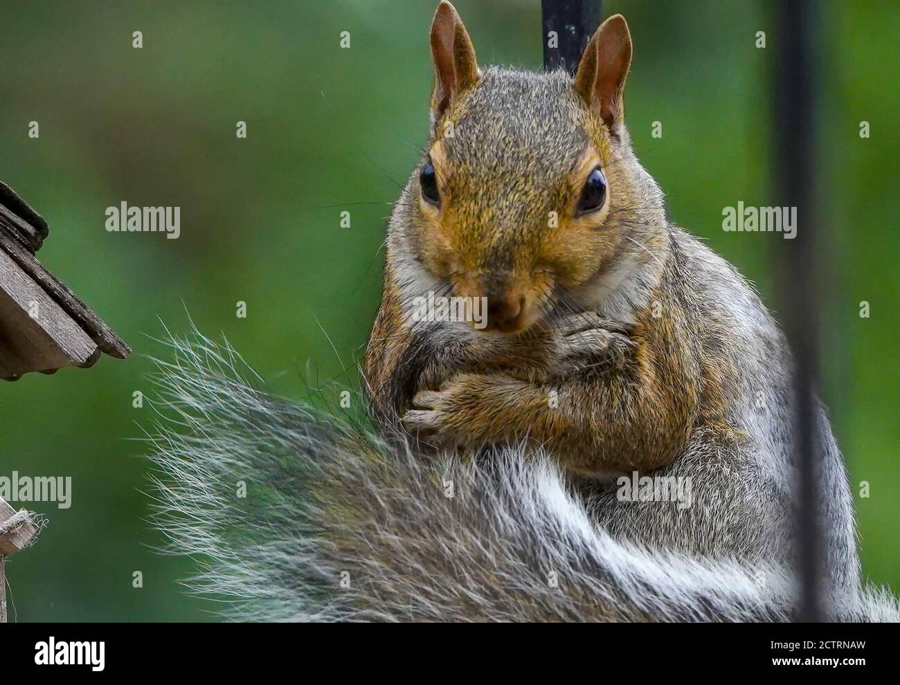 Crosses your arms hi-res stock photography and images - Alamy