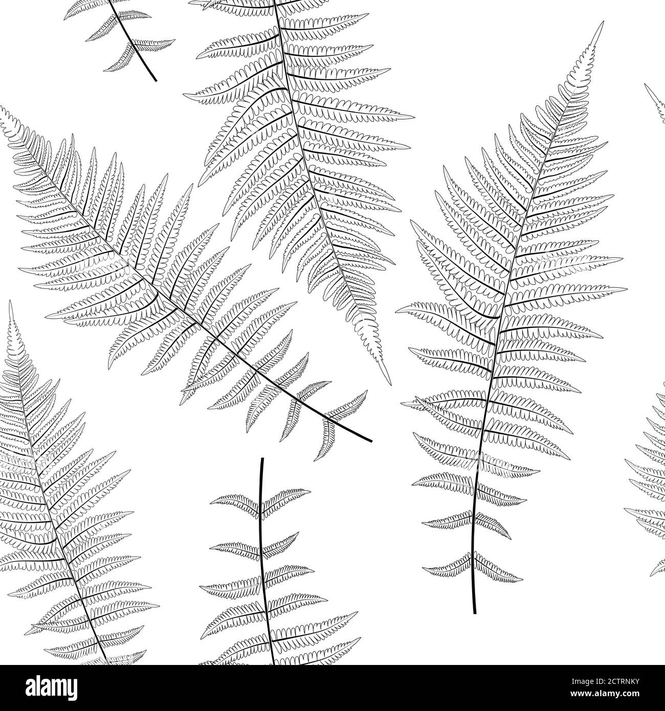 Fern Leaf Vector Fern Leaf Vector Seamless Pattern Background ...
