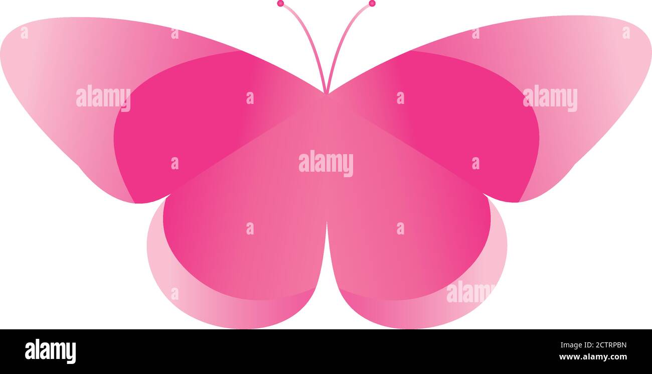 pink butterfly icon over white background, flat style, vector ...