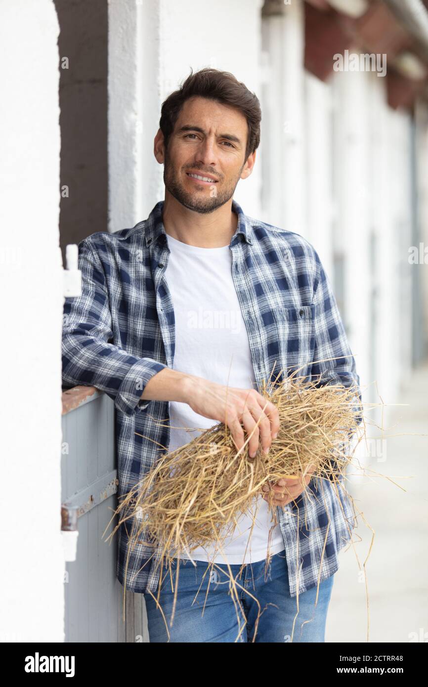 man at stables holding a handful of hay Stock Photo - Alamy