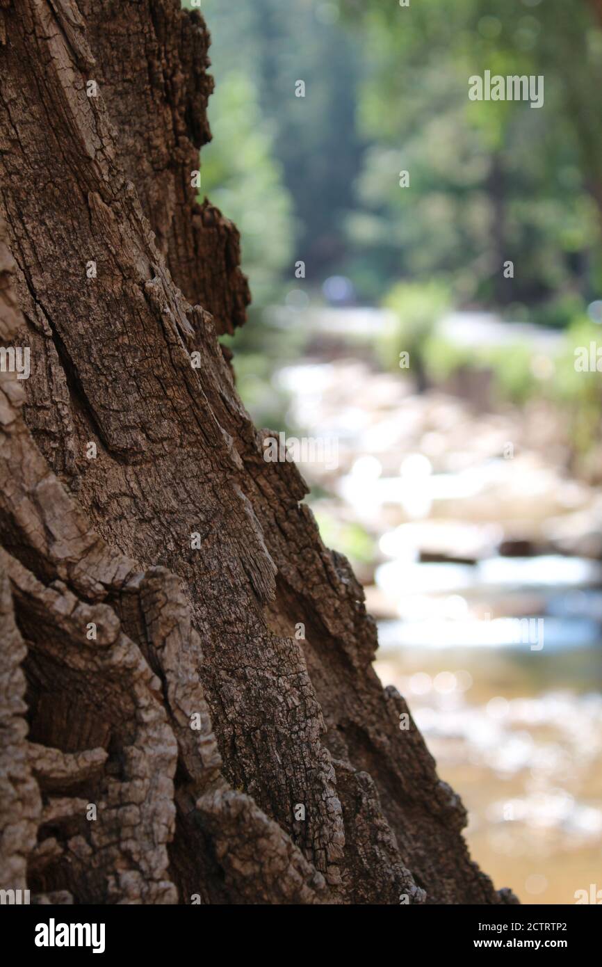 Seven falls co hi-res stock photography and images - Alamy
