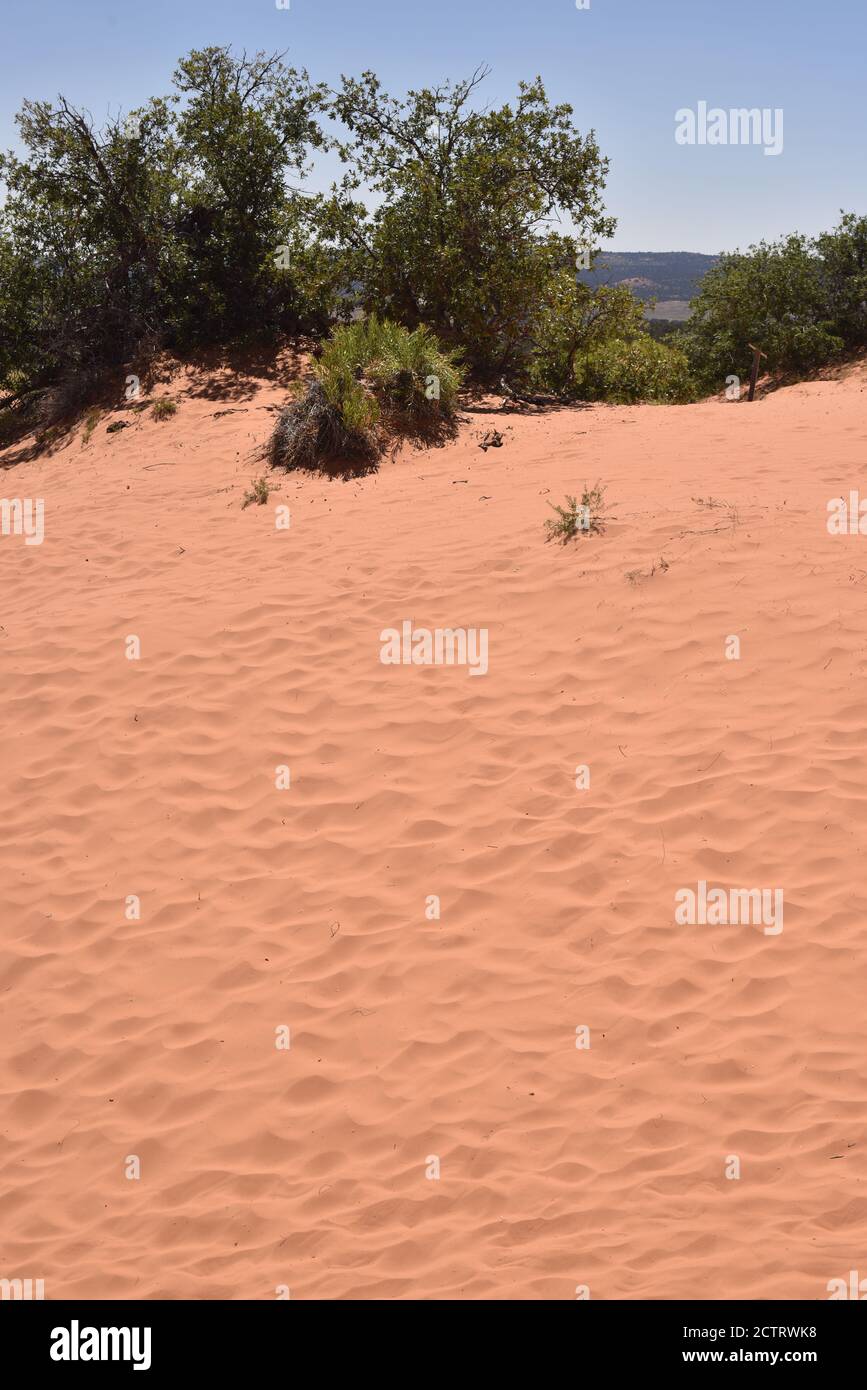Pink Colored Navajo Sandstone High Resolution Stock Photography and ...