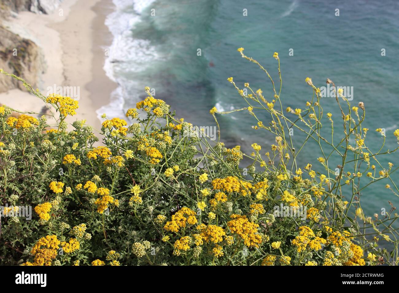 Hwy 1 California Stock Photo - Alamy