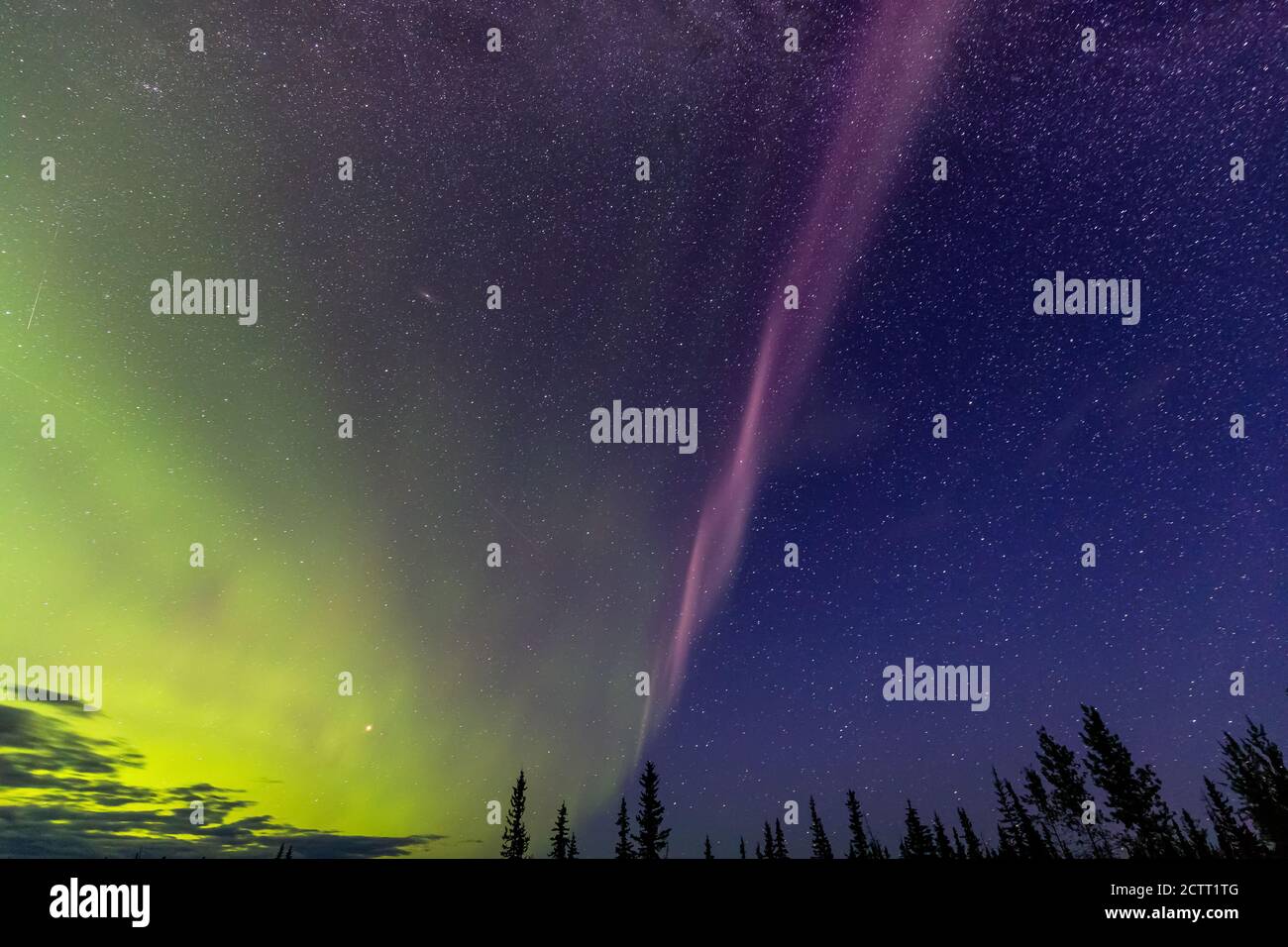 Northern lights, aurora borealis, in the Canadian Nature Stock Photo ...
