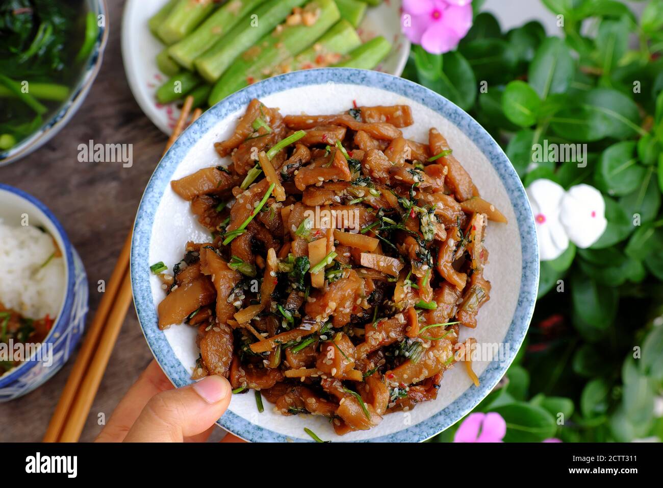 Chayote leaf hi-res stock photography and images - Alamy