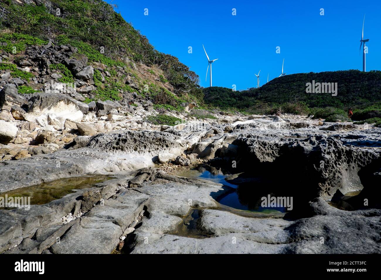 Wind harvesting farm along the a rocky beach coastline and mountain ...