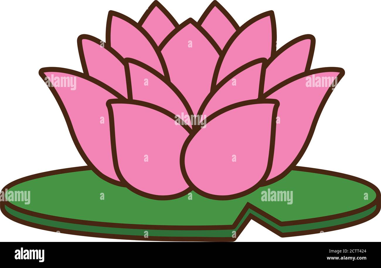 pink lotus flower isolated icon vector illustration design Stock Vector ...