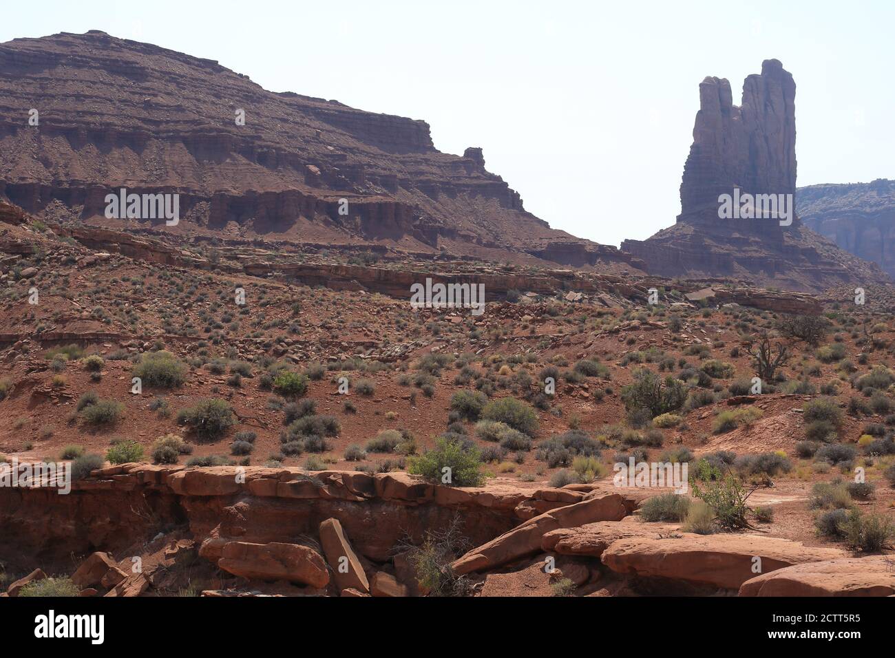 Oljato monument hi-res stock photography and images - Alamy