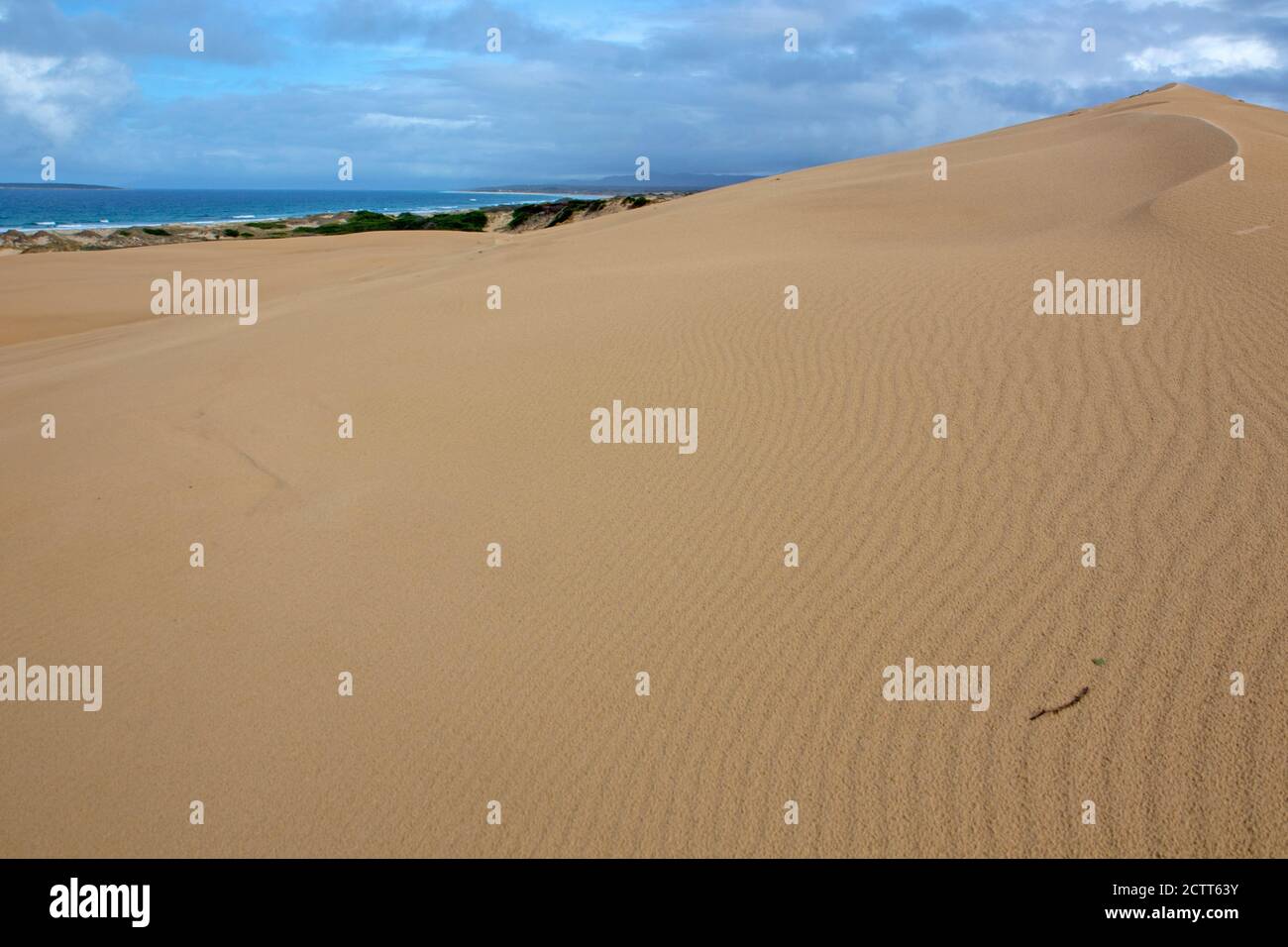 Peron hi-res stock photography and images - Alamy