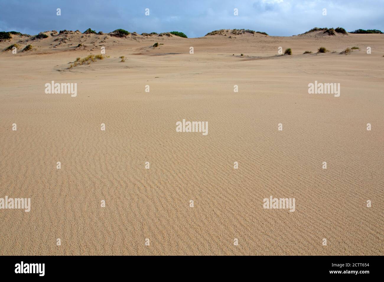 Peron hi-res stock photography and images - Alamy