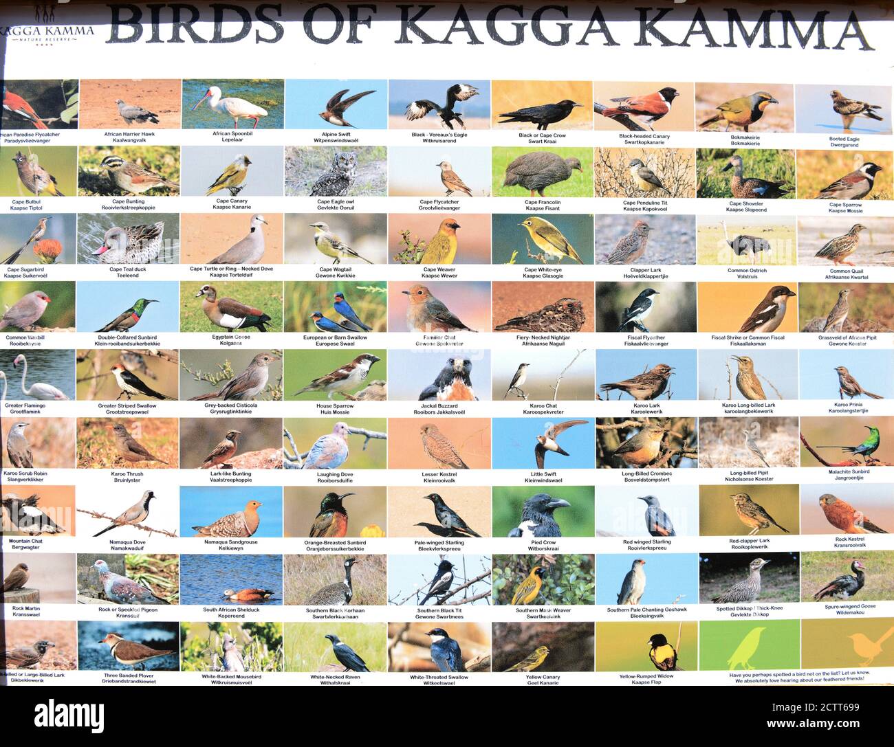 Birds of kagga kamma hi-res stock photography and images - Alamy