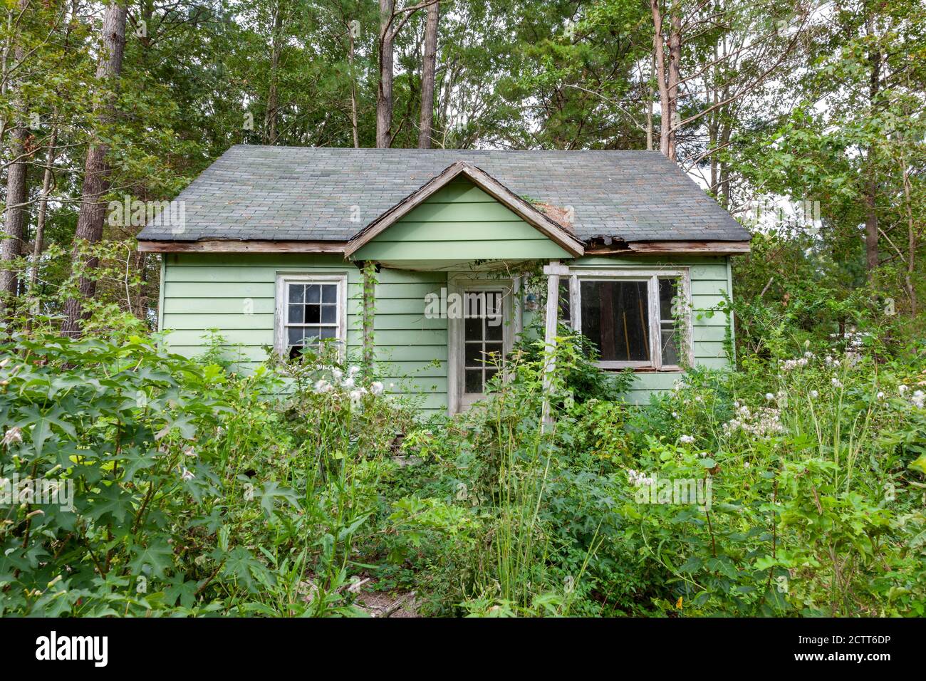 An abandoned very old house in the middle of woods . The one story ...