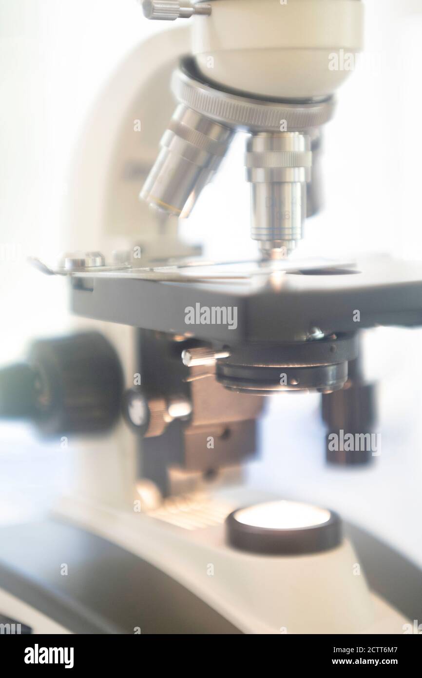 Microscope in laboratory Stock Photo - Alamy