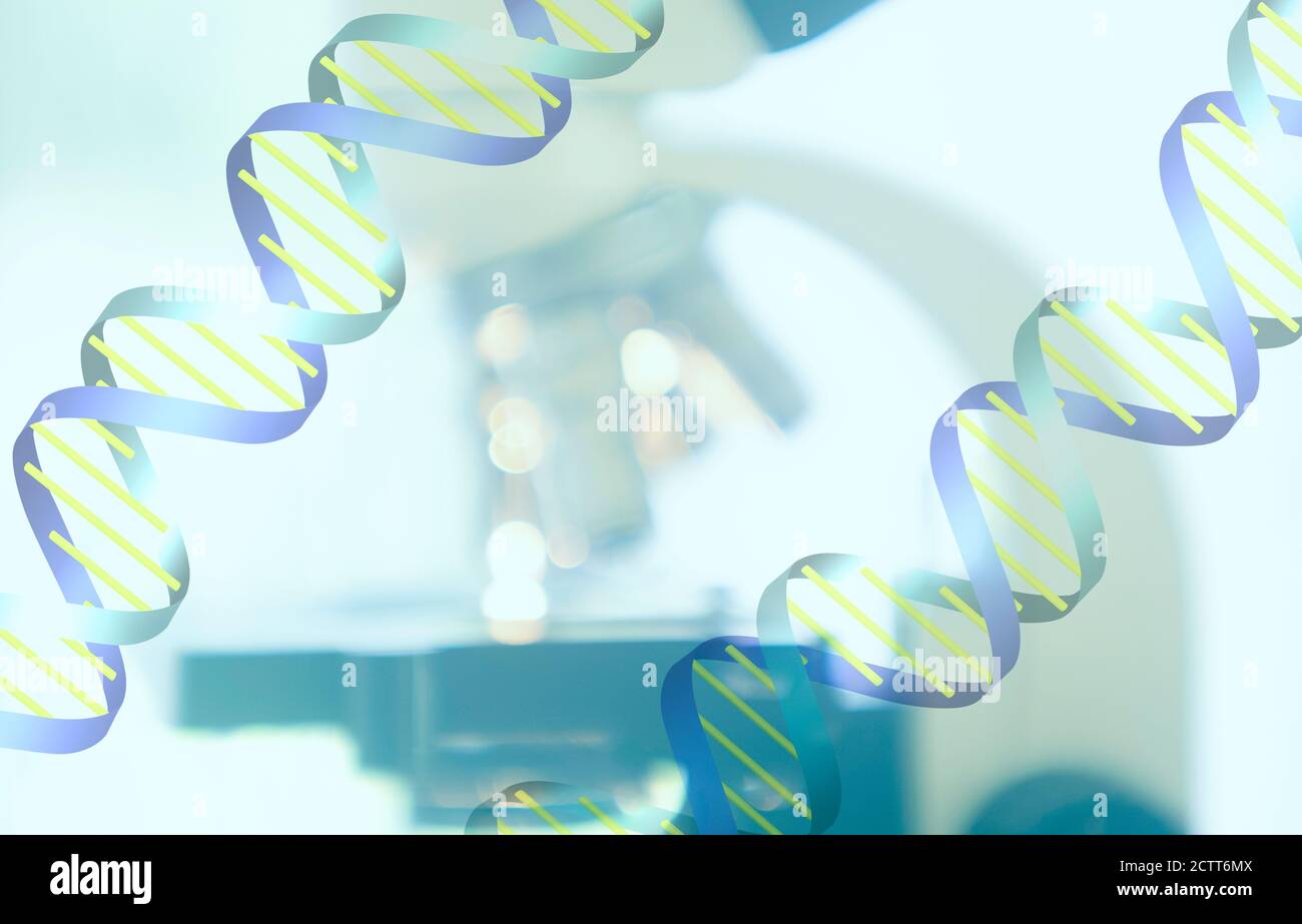 Digital microscope hi-res stock photography and images - Alamy