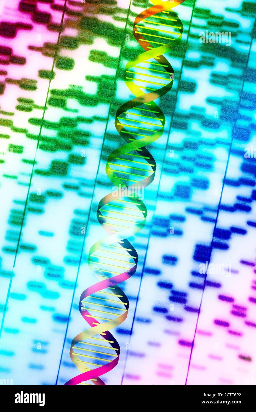 DNA helix and multi-colored sequence chart Stock Photo - Alamy