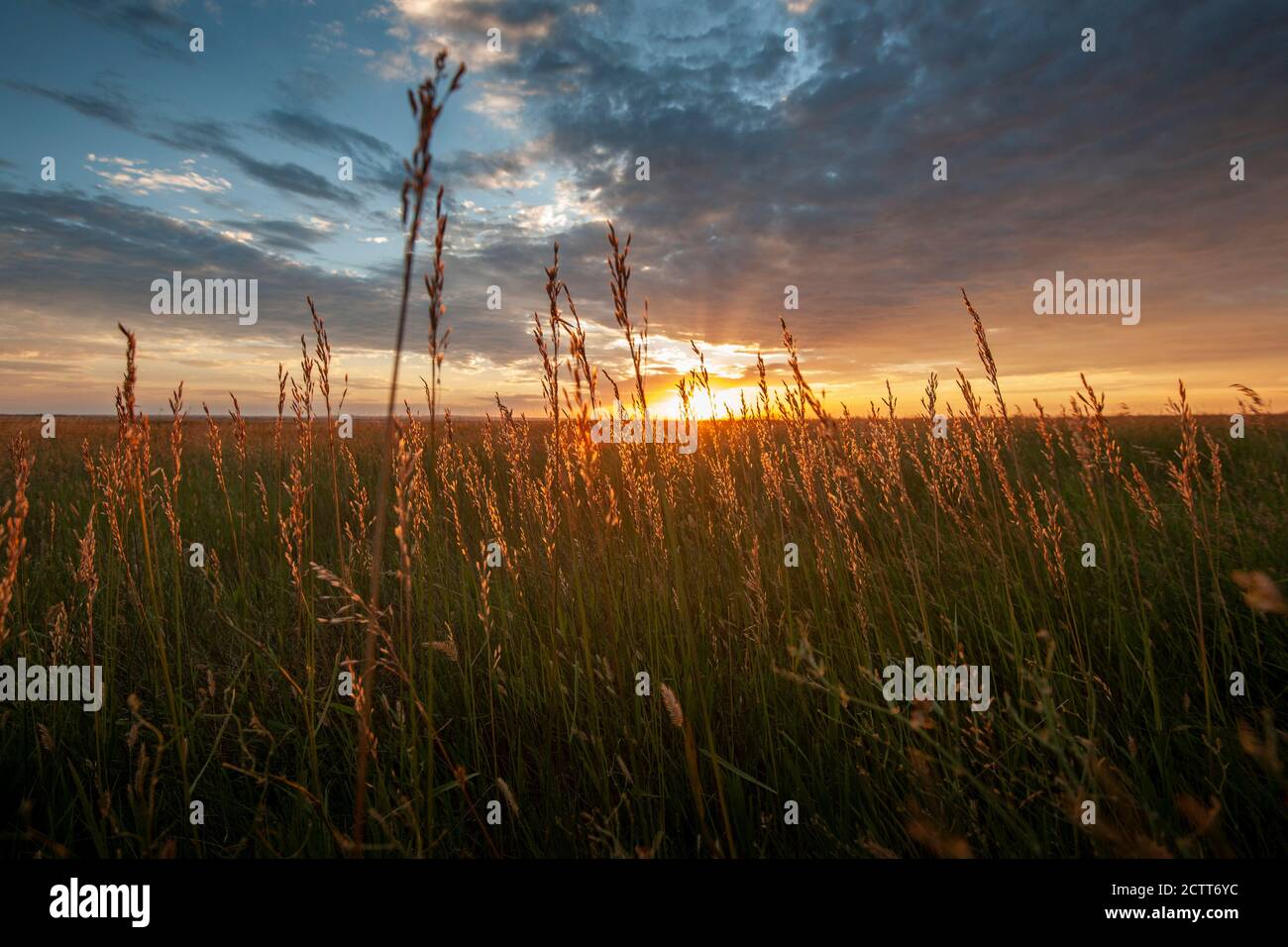 Storm over prairie hi-res stock photography and images - Alamy