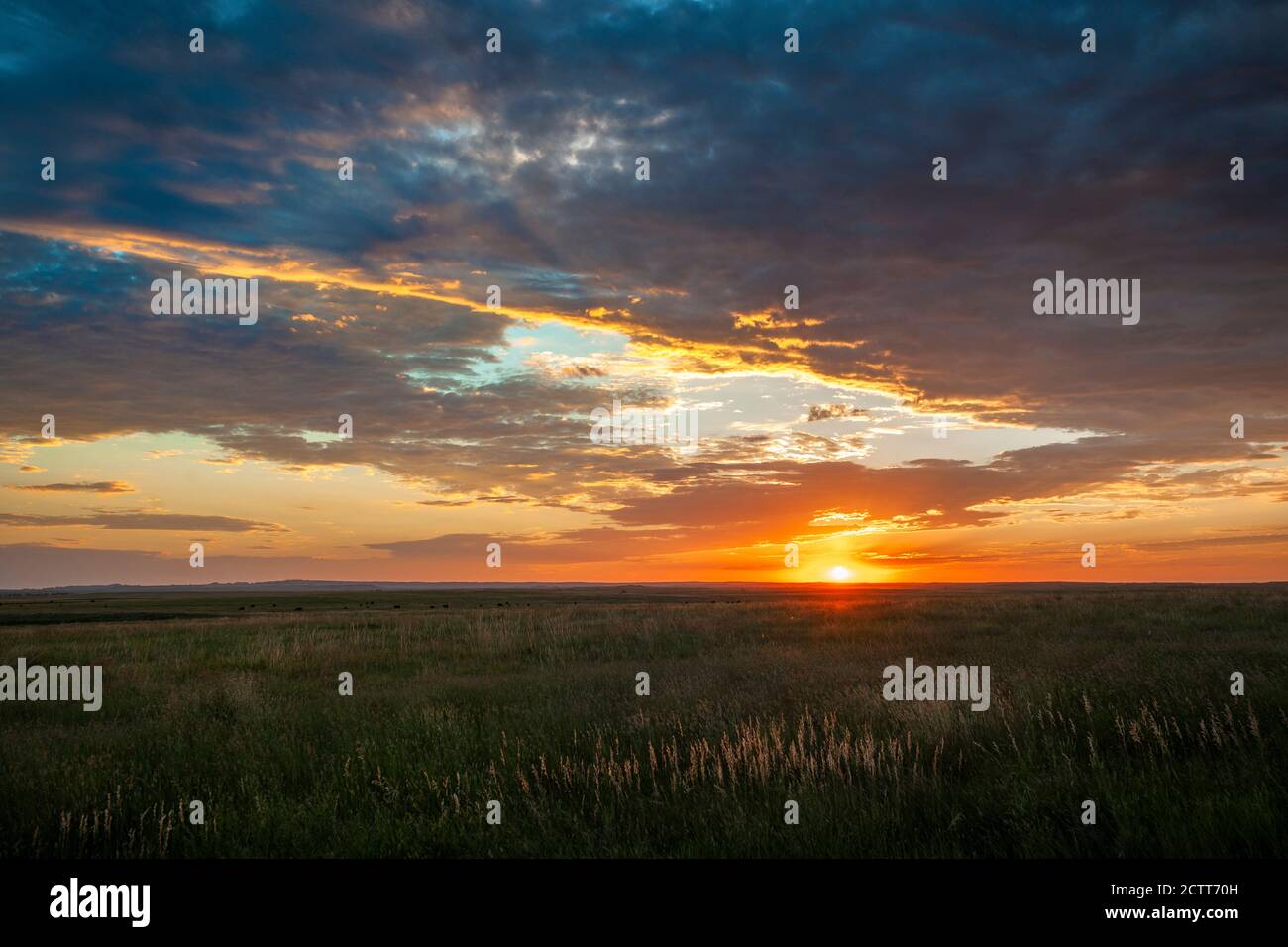 Storm over prairie hi-res stock photography and images - Alamy