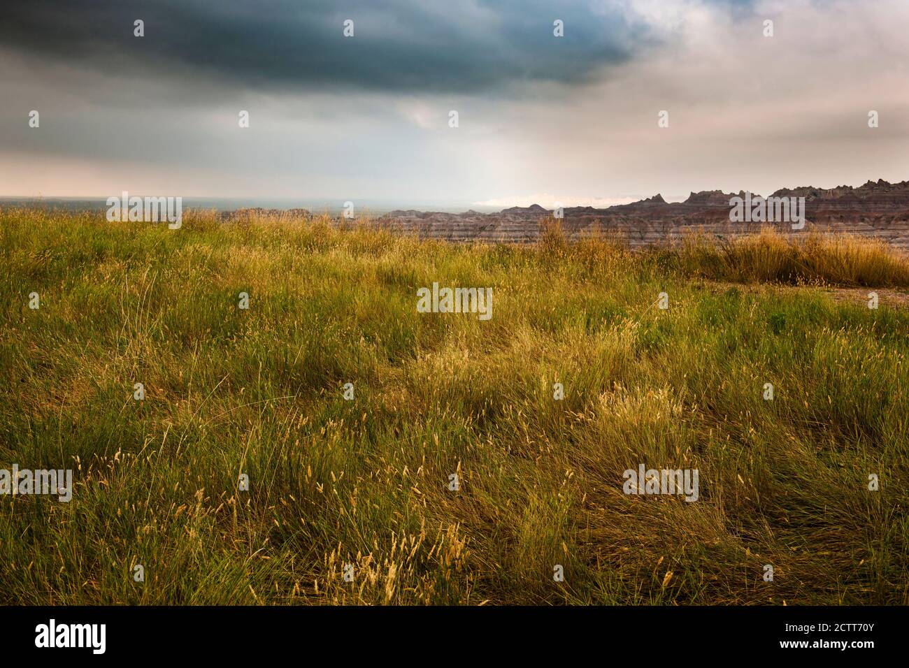 USA, South Dakota, Badlands National Park, Prairie grass and badlands ...