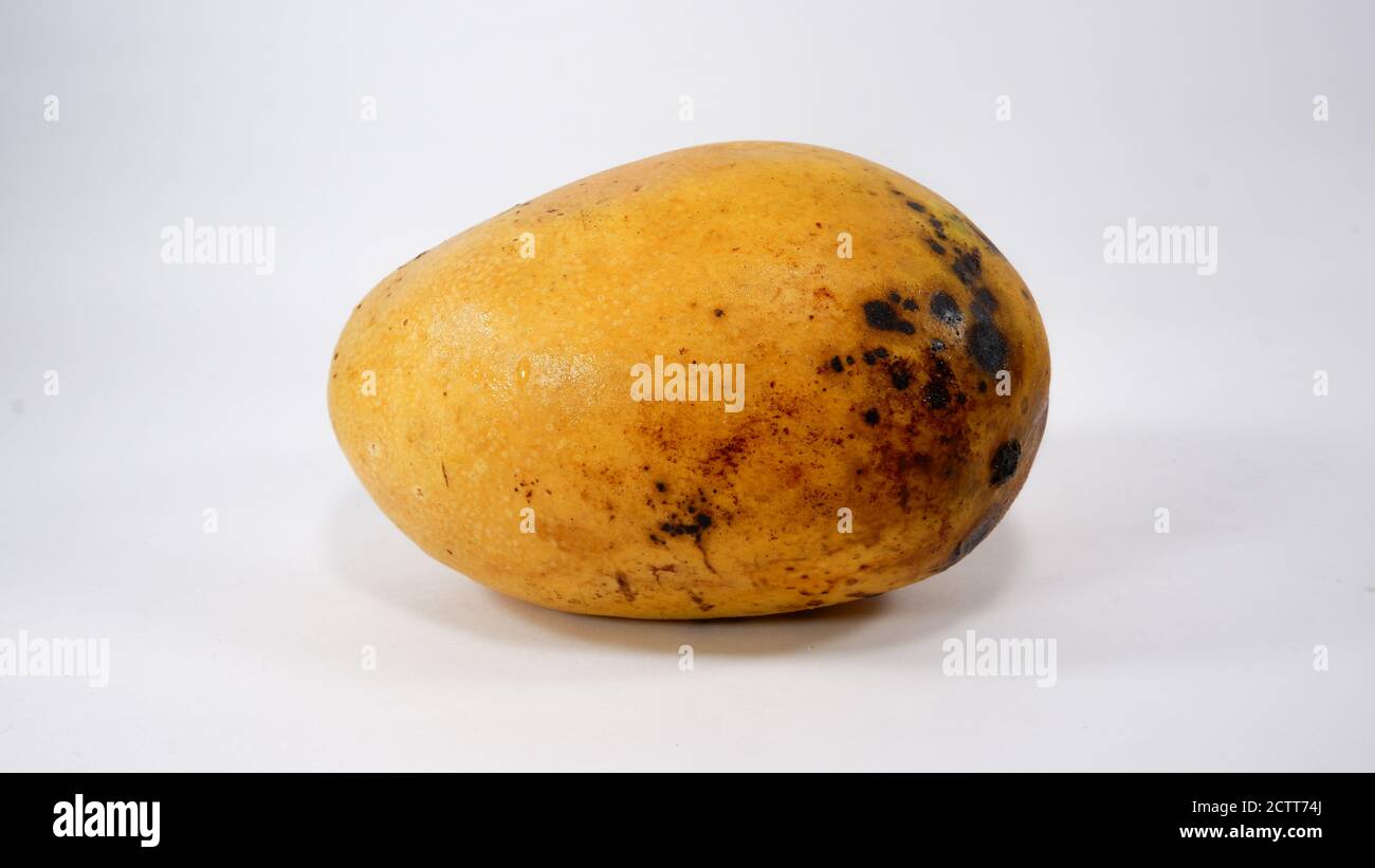 Close up shot of Ripe Philippine Mango on a white background Stock ...