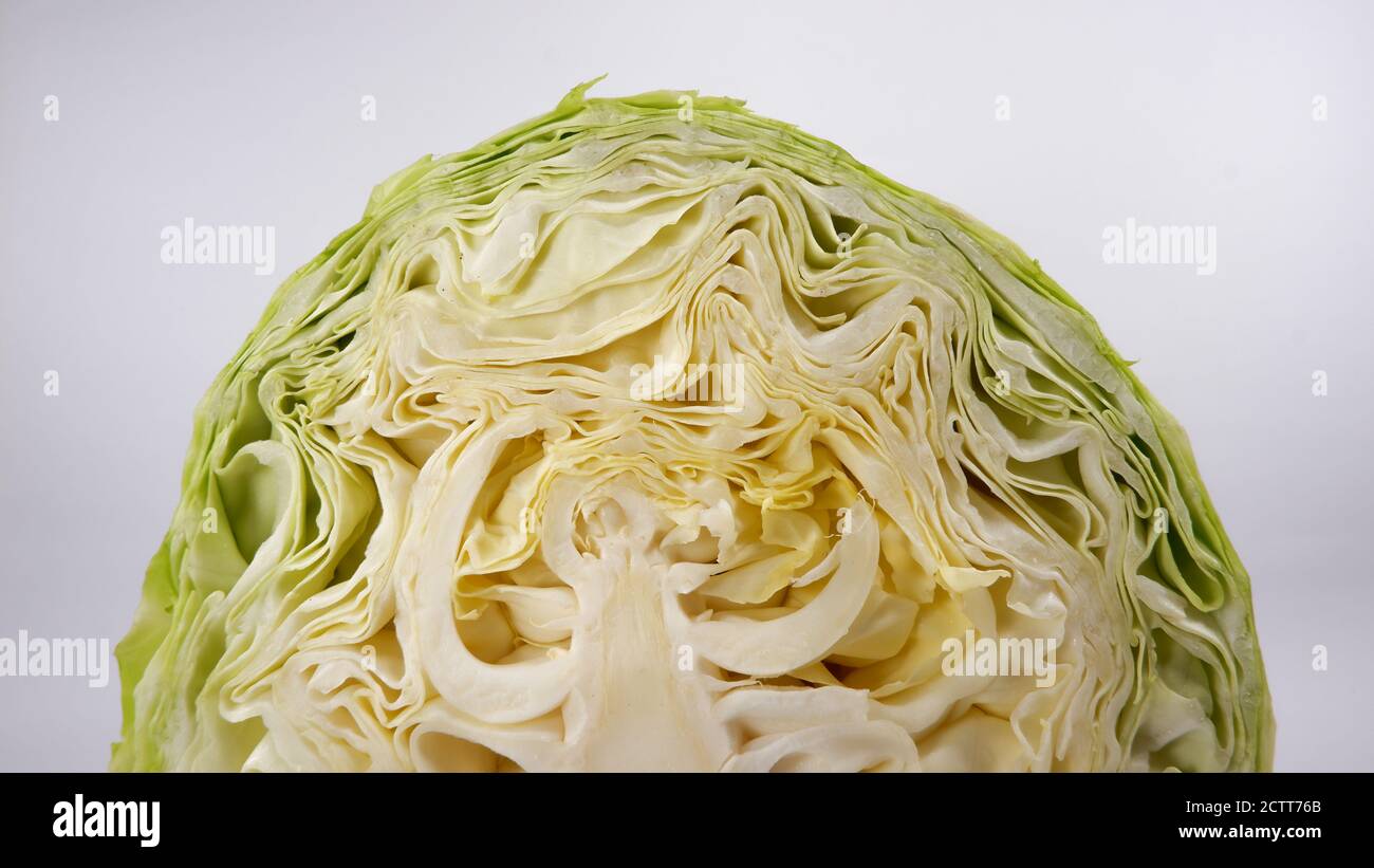 Close up front shot of cabbage cut in half on a white background Stock ...