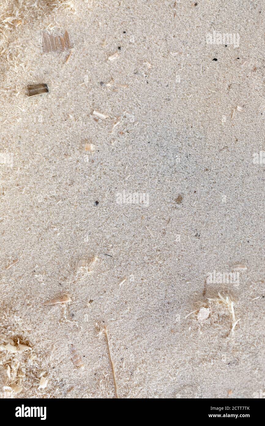 Sawdust or wood dust texture background. Top view. Vertical Stock Photo ...