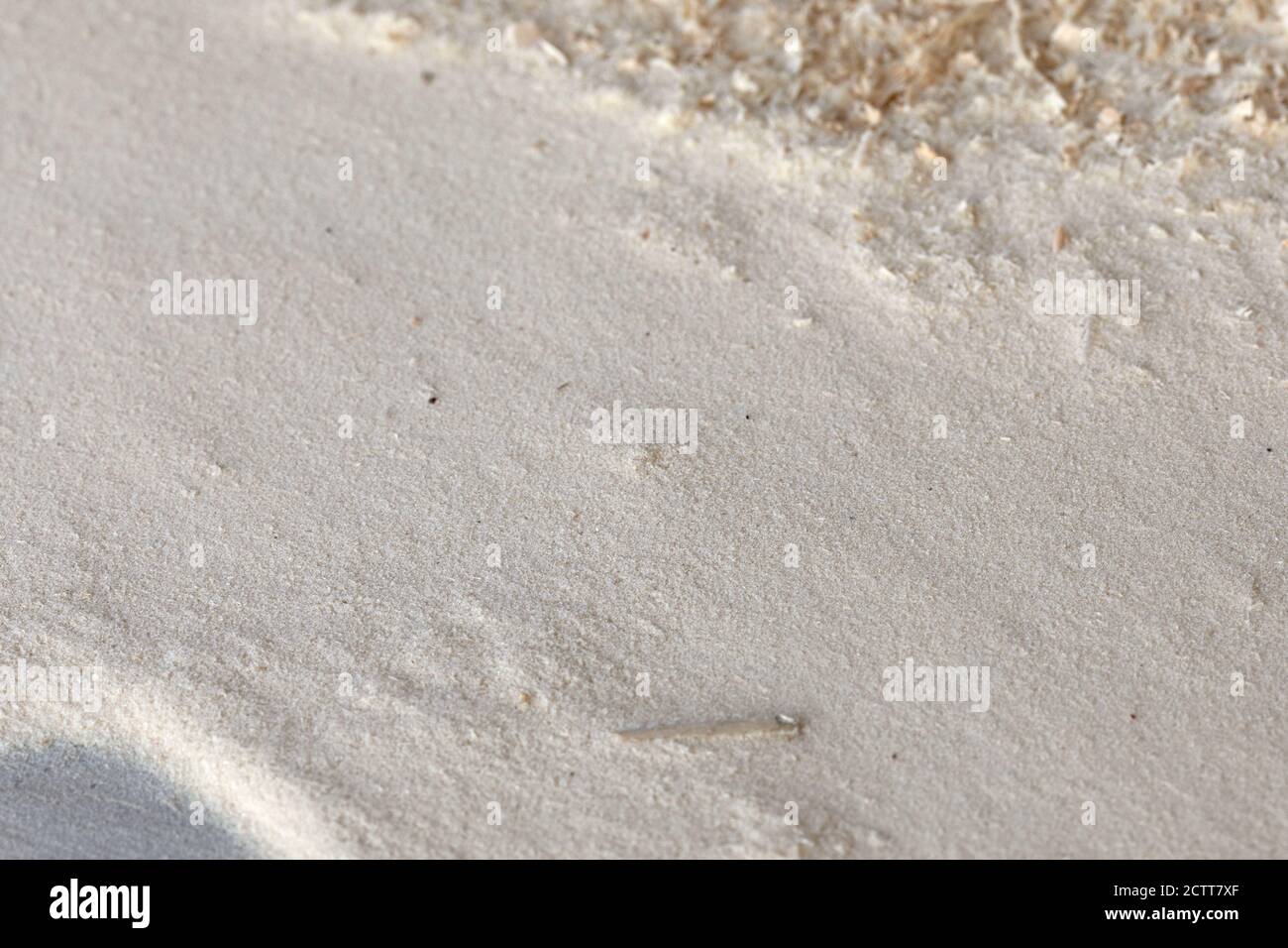 Wooden sawdust texture background after production of wood on sawmill ...